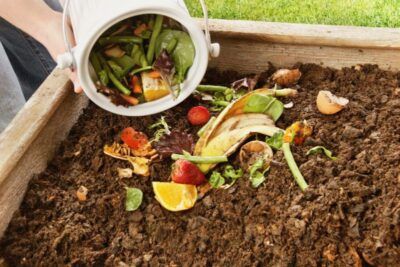 Substrato para plantas - O que é e dicas de como escolher o melhor tipo